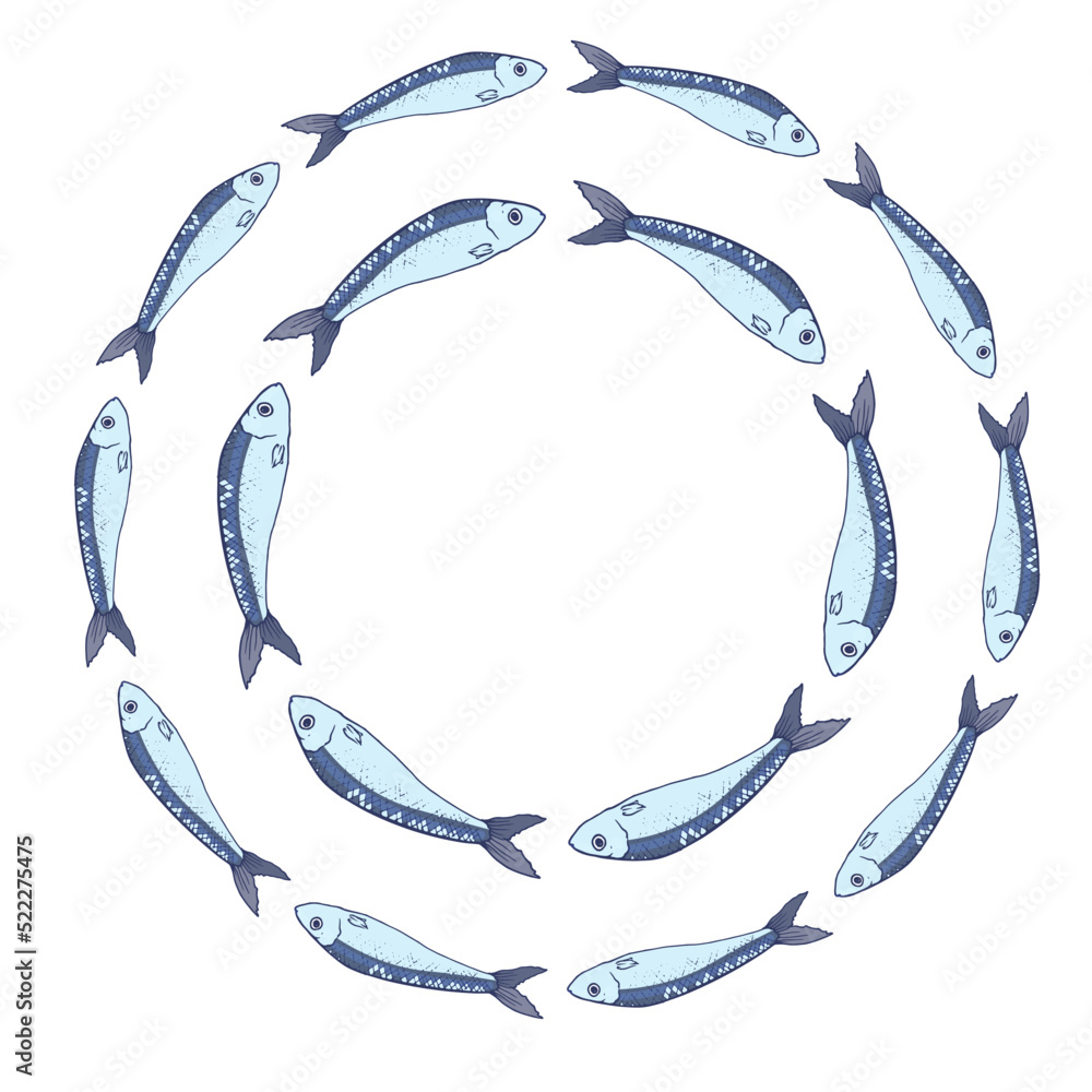 Vector round pattern of blue sardines. hand-drawn sketch of a small ...