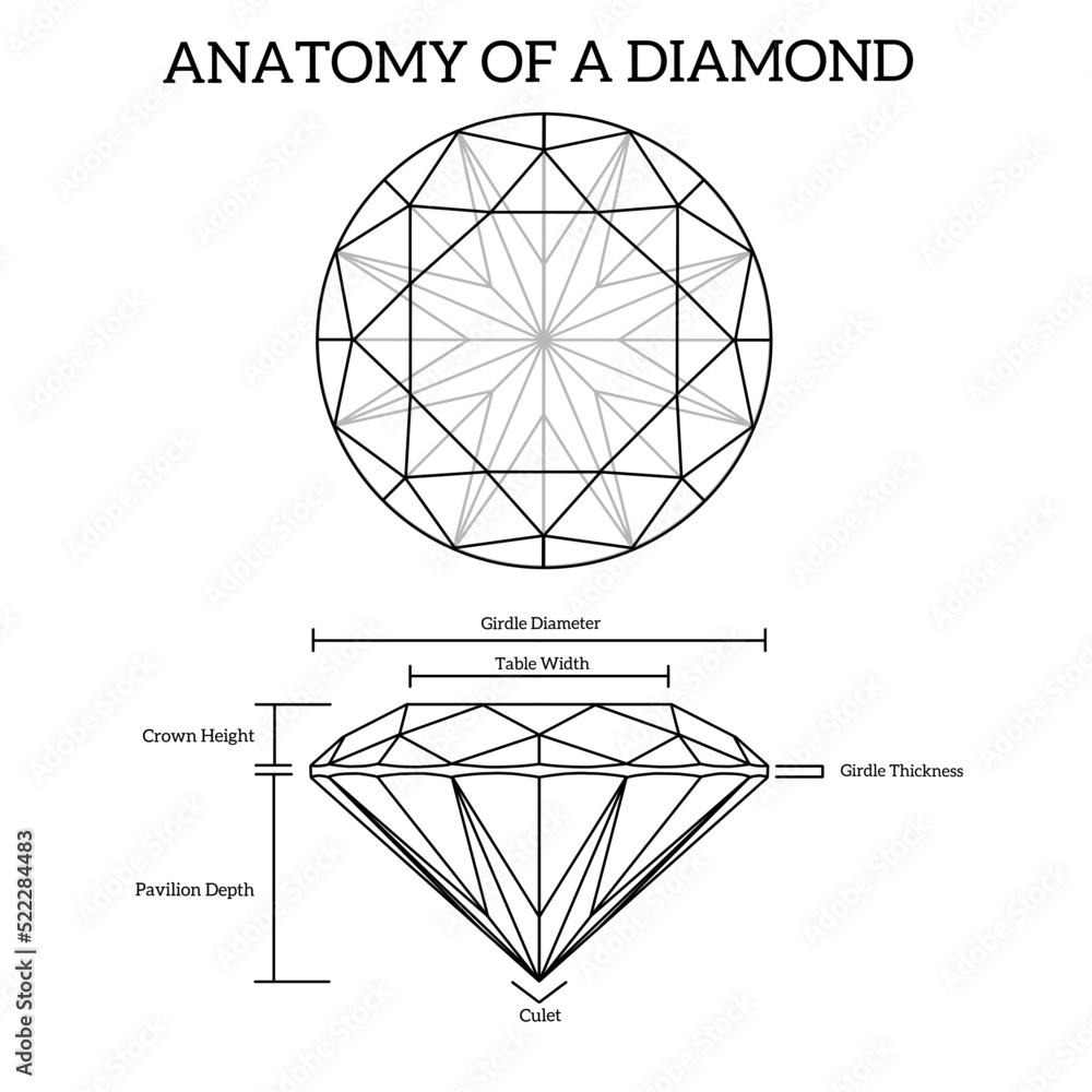 Anatomy of a diamond scheme. Brilliant shapes and naming. Vector EPS ...