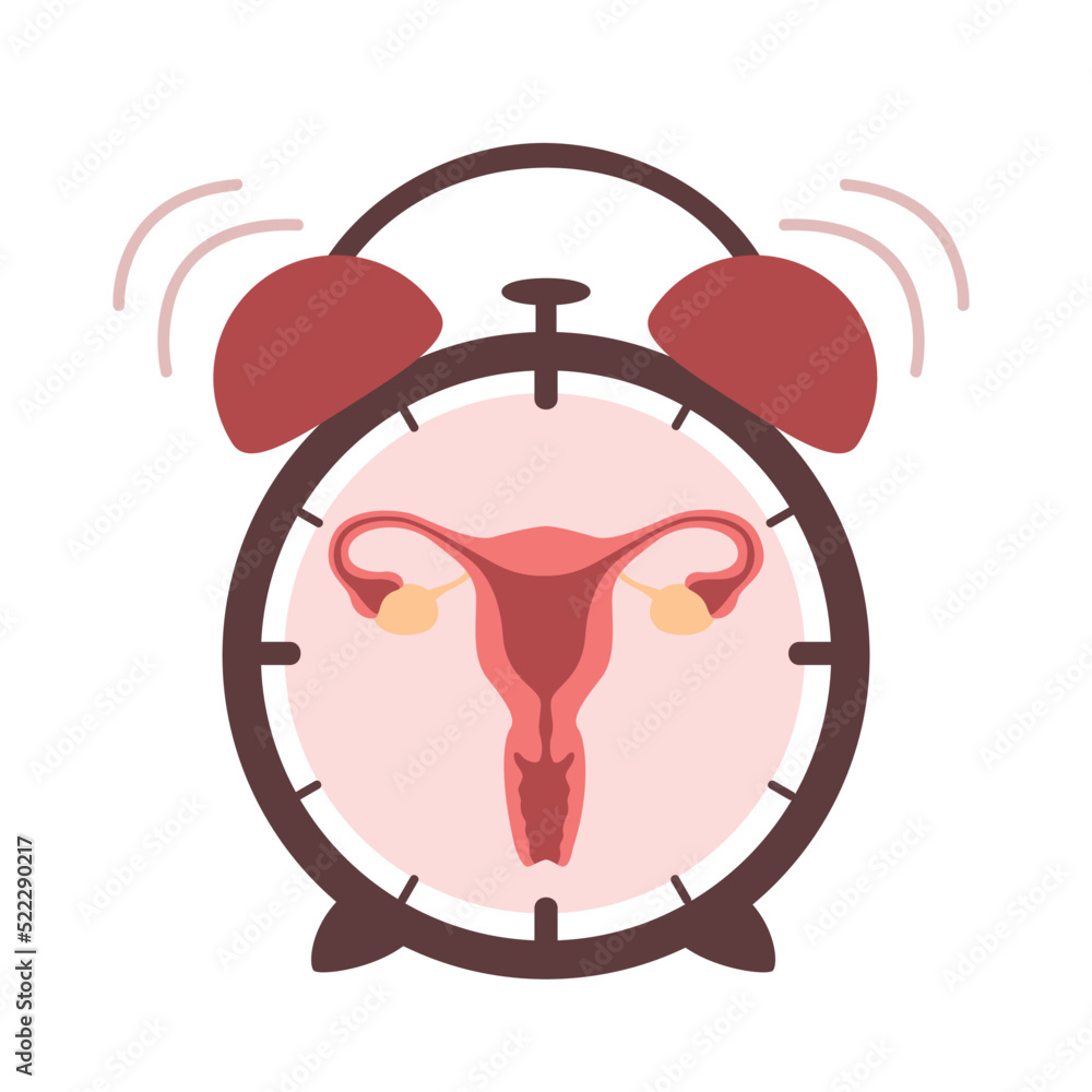 female reproductive system women uterus in the ringing alarm clock ...