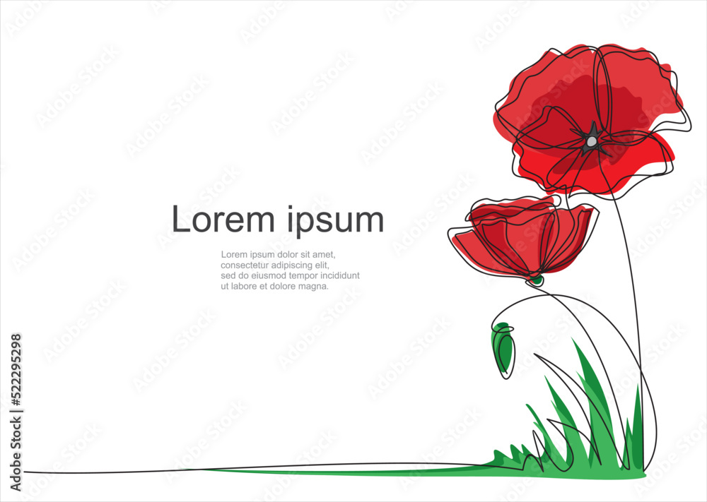 Poppy flowers in continuous line art drawing style. Minimalist black ...