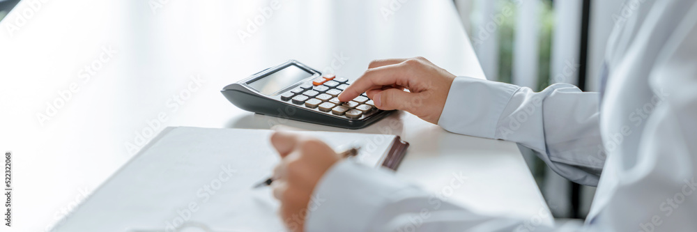 Business Professional Chartered Accountant Woman working with computer ...