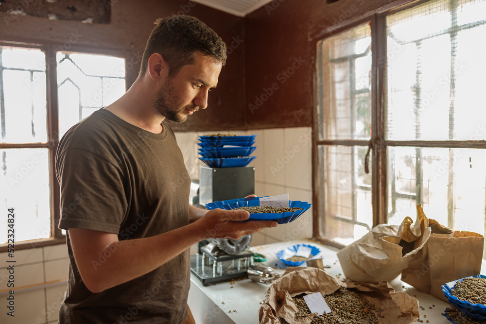 Professional male grader is preparing the coffee cupping activities at ...
