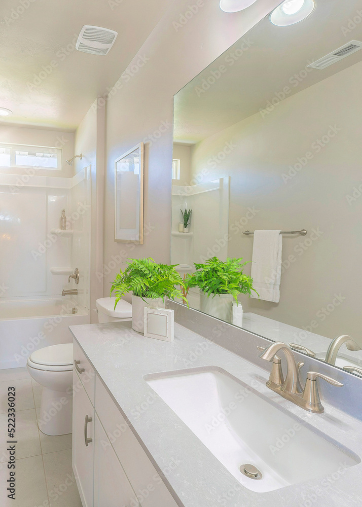 Vertical Sun flare White bathroom interior with indoor plants ...