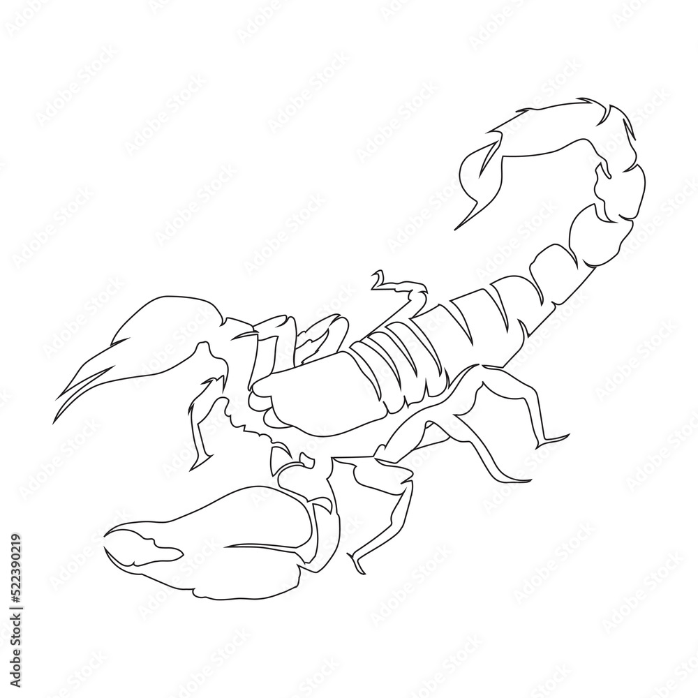 Scorpions line art drawing style, the Scorpions sketch black linear ...