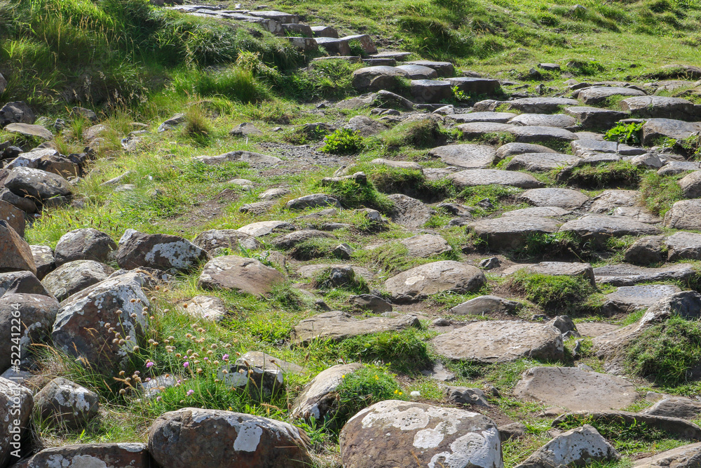 natural stone pathway at giant's causeway, northern ireland. rocks ...