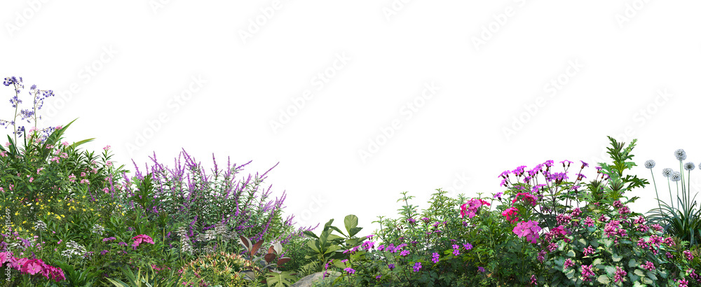 Colorful flowers on a transparent background Stock Illustration | Adobe ...