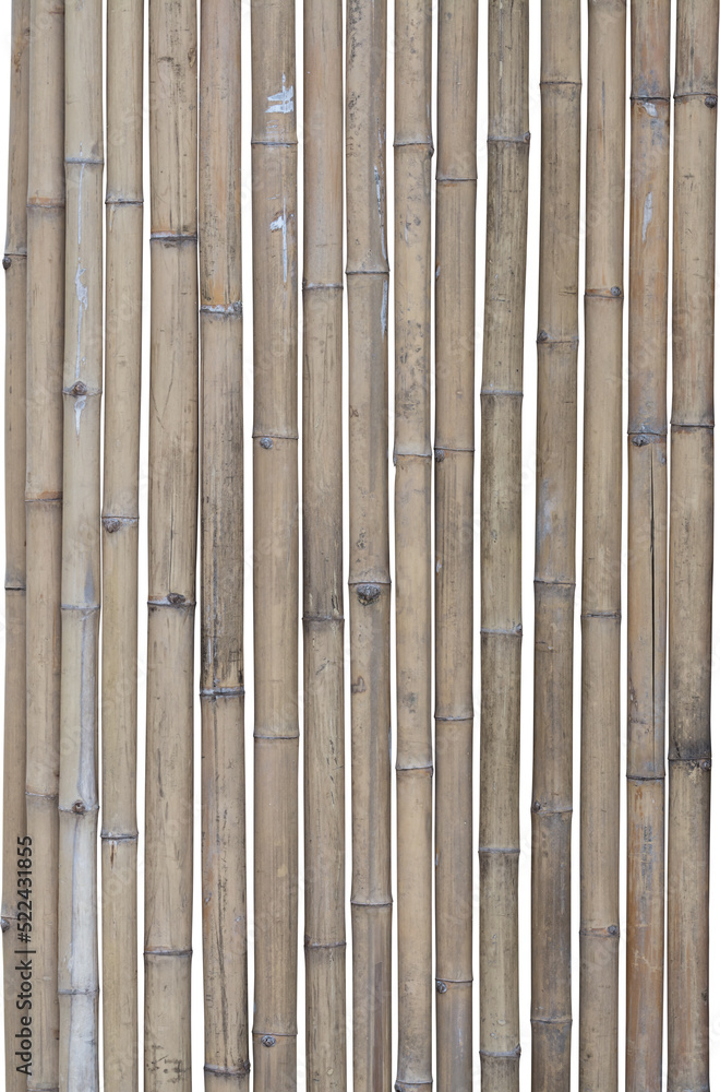 bamboo wall in transparent background. Stock Photo | Adobe Stock