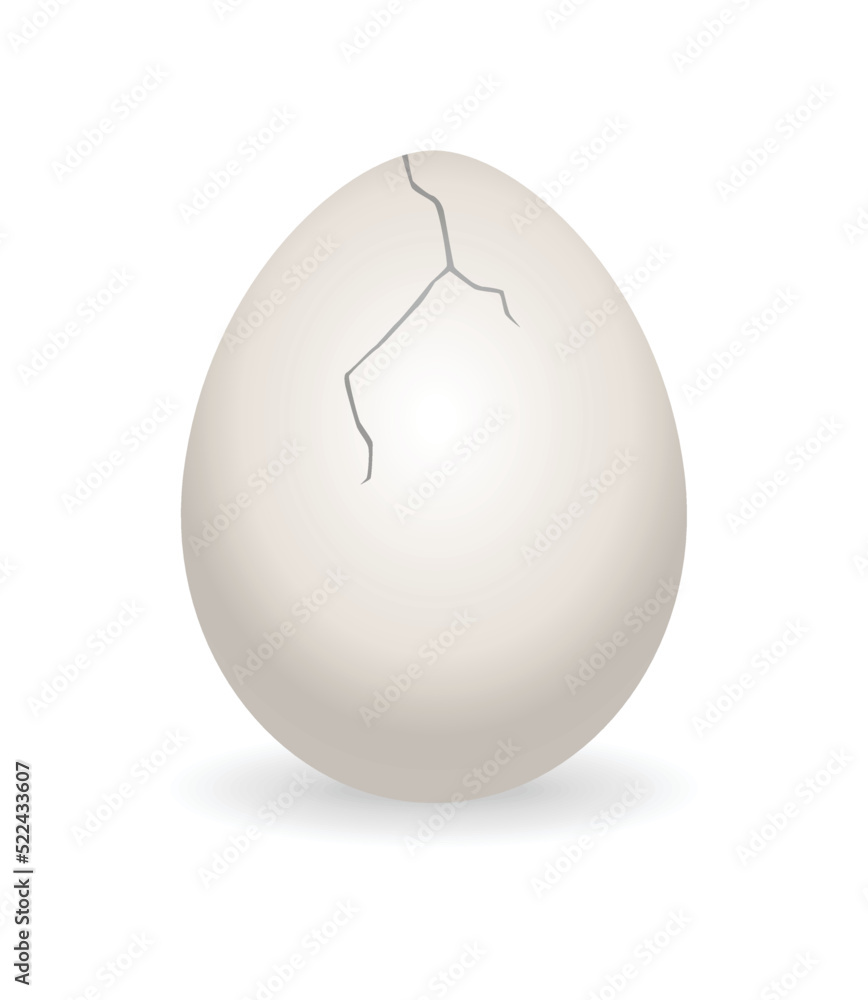 Cracked egg. Eggshell cracking stage. Realistic chicken egg with broken eggshell. Design element ...