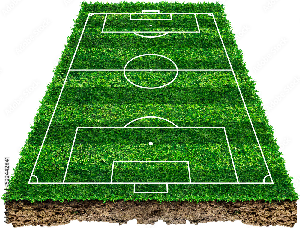 Soccer field area and isolated. Green grass of soccer field with ...