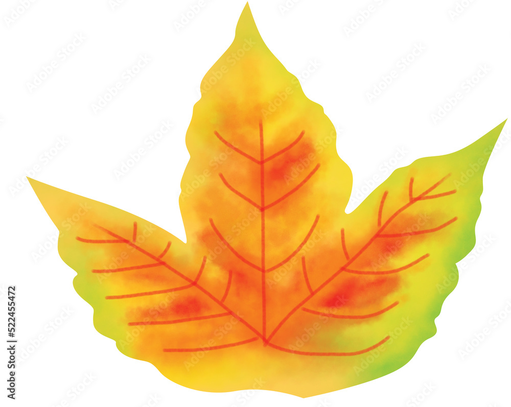 Maple leaf Watercolor Clipart, autumn, Digital art, illustration PNG ...