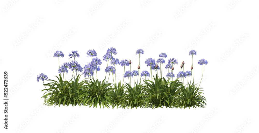 Flower garden on transparent background Stock Illustration | Adobe Stock
