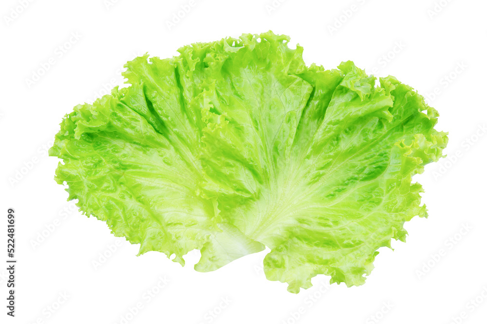 Lettuce. Salad leaf isolated on white background with clipping path ...