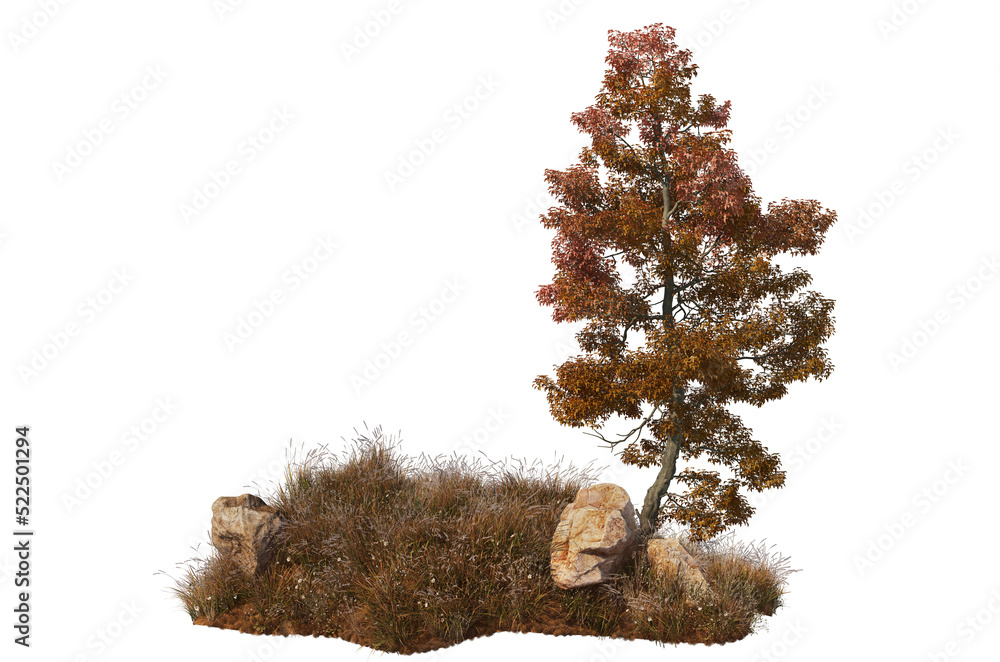 Trees and grass Autumn on a transparent background Stock Illustration ...