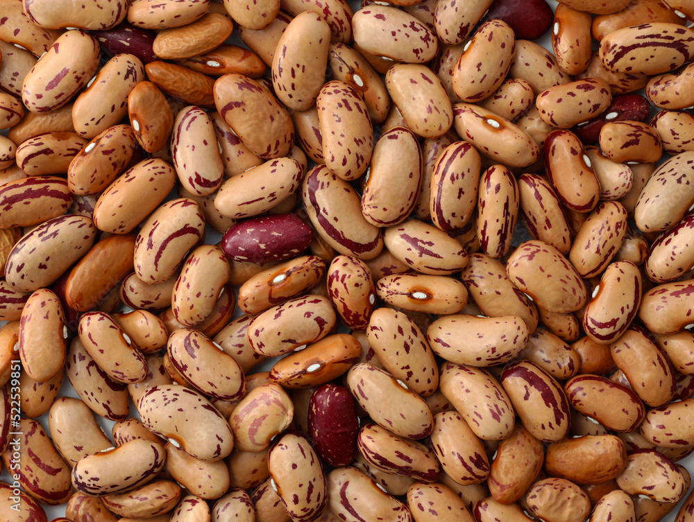 Pinto brown beans close-up. Raw hard beans with red spots background. Small beans top view ...