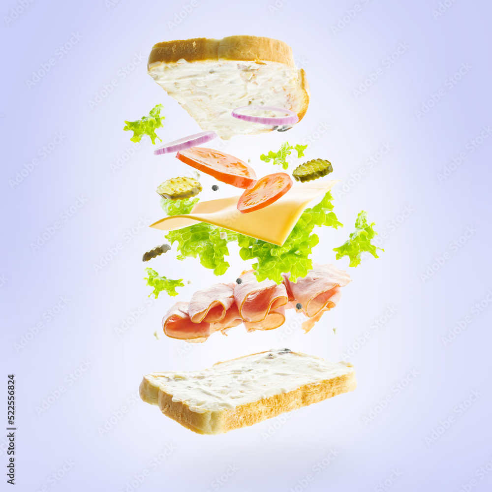 Sandwich on a light blue background in frozen flight. Meat, greens ...