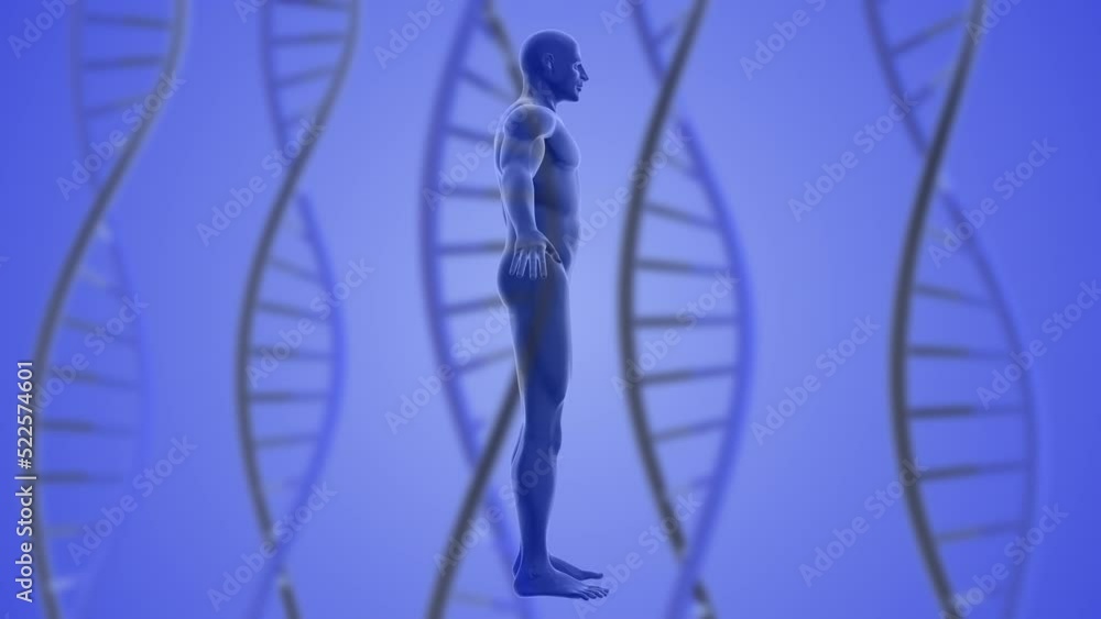 3d medical background with human body and DNA strands Stock Video ...