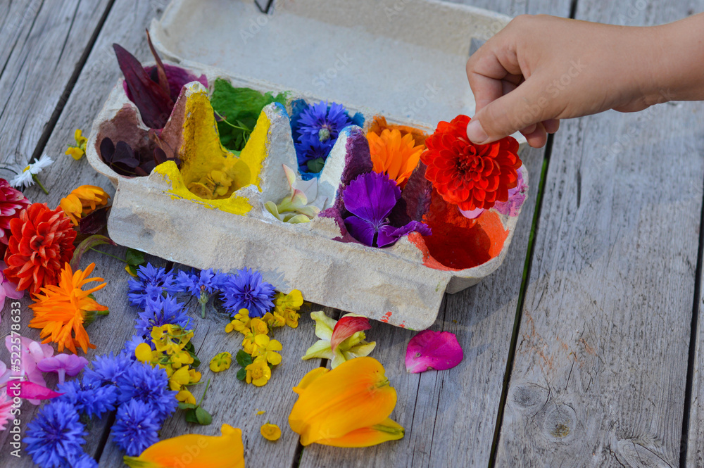 The child learns colors. Montessori game of learning colors with the ...