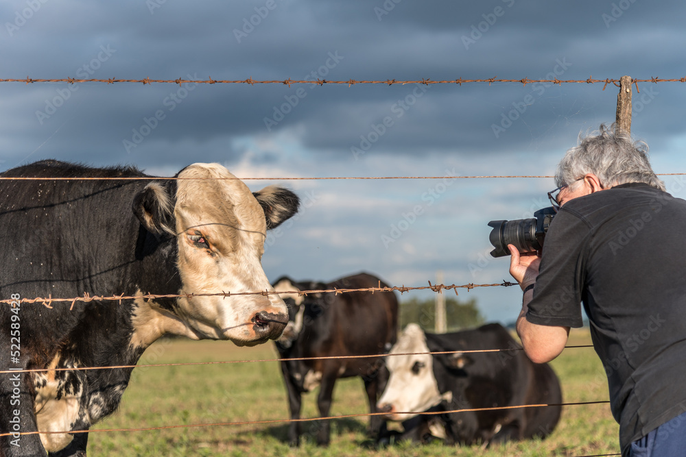 Mature gray haired photographer taking a picture of a black and white ...