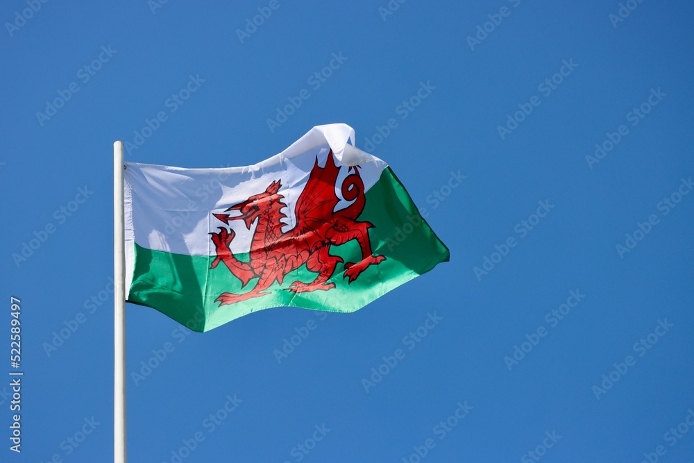 Wales flag - red dragon passant on white and green - bold and proud ...