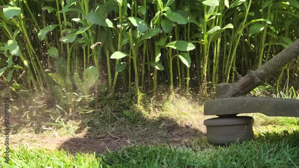 String trimmer taking care of grass edge. Close up and slow motion ...
