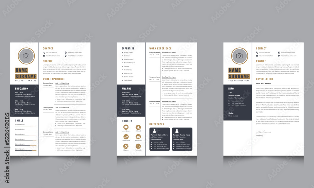 Professional Resume CV Template Layout and Creative Page Set Design ...