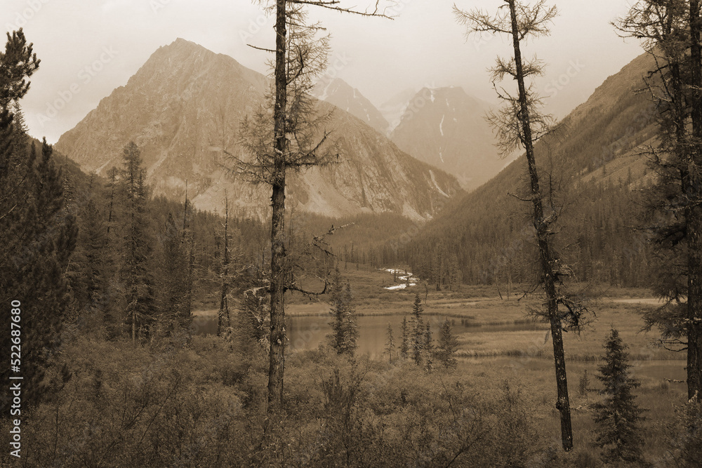 Beautiful landscape of Altay region, Siberia, Russia. Alpine valley in ...
