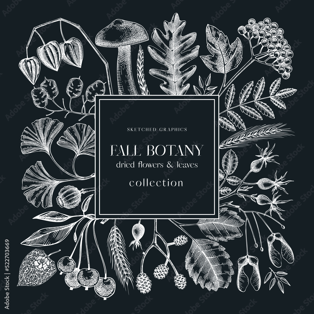 Autumn wreath with fall leaves and dried flowers. Thanksgiving banner ...