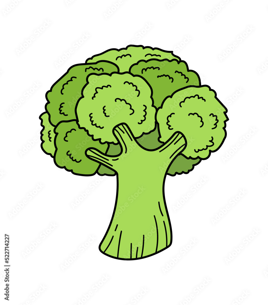 Broccoli doodle design element isolated on white. Cute cartoon style ...