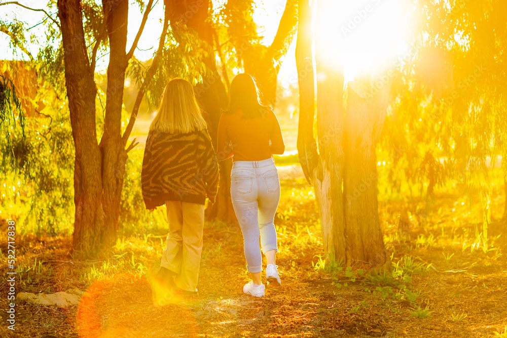 two teenage girls walking away into bush in golden light Stock Photo ...