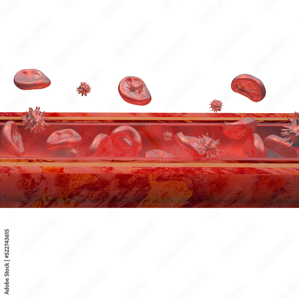 Blood vessels, red blood cells, and pathogens in the bloodstream 3D ...