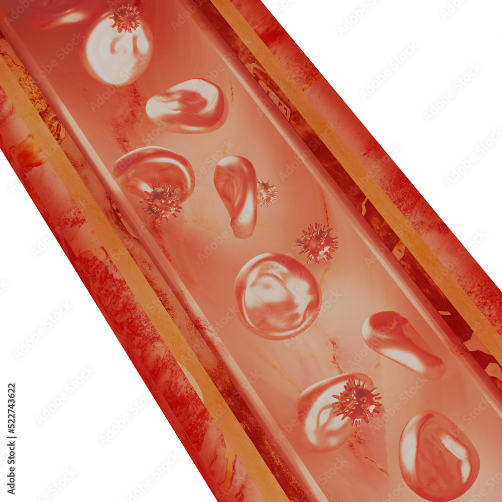Blood vessels, red blood cells, and pathogens in the bloodstream 3D ...