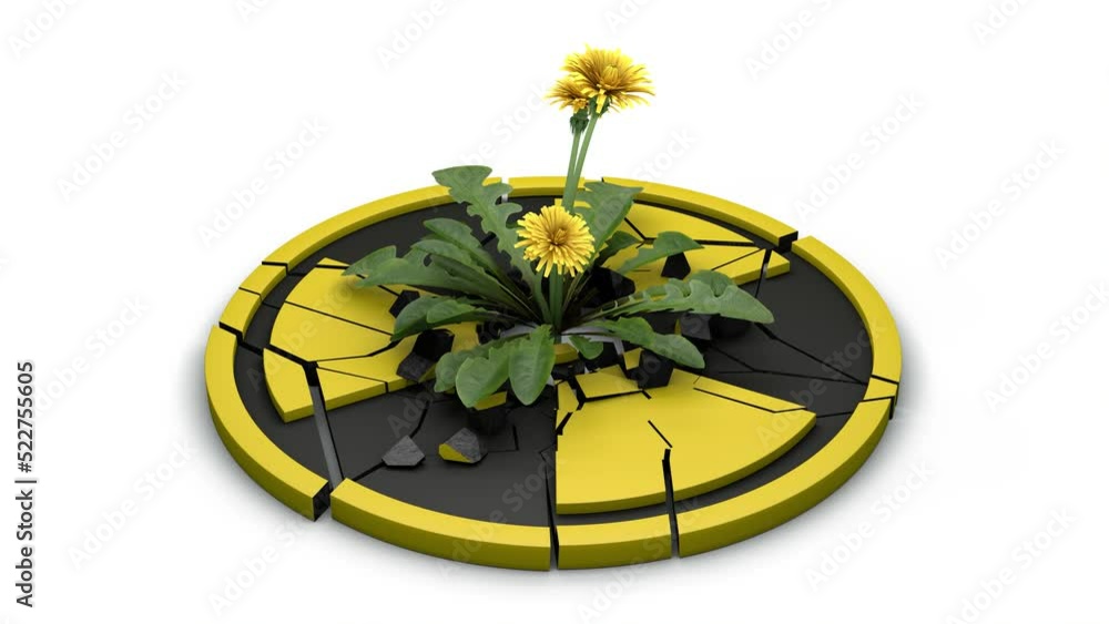 3d animation of a dandelion flower breaking through the radiation sign ...