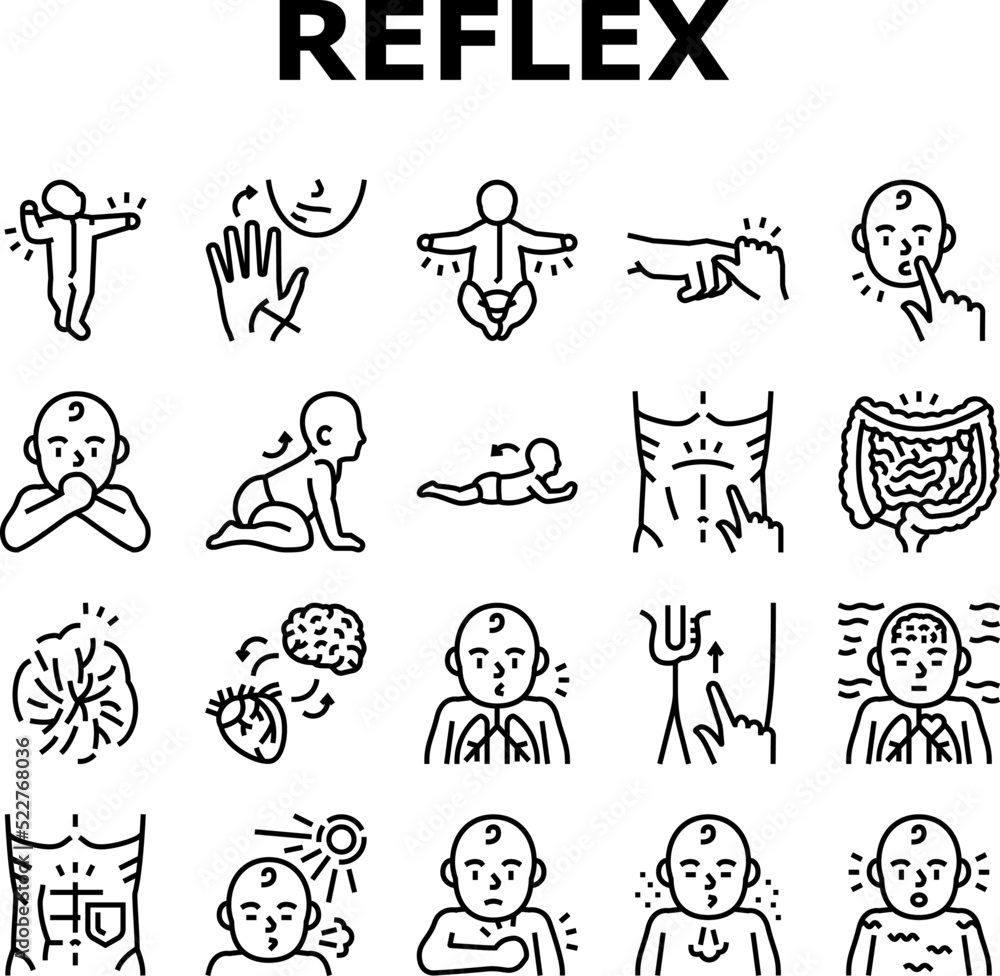 Reflex Of Human Neurology System Icons Set Vector. Cremasteric And ...