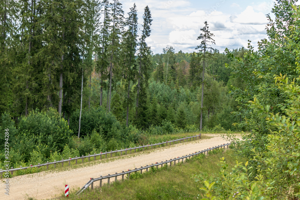 forest gravel road with barriers, a view of spruce forest trees, ditch ...