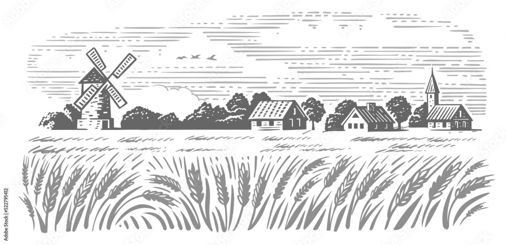 Wheat Organic Farming landscape vector. Farm and Fields with Harvest ...