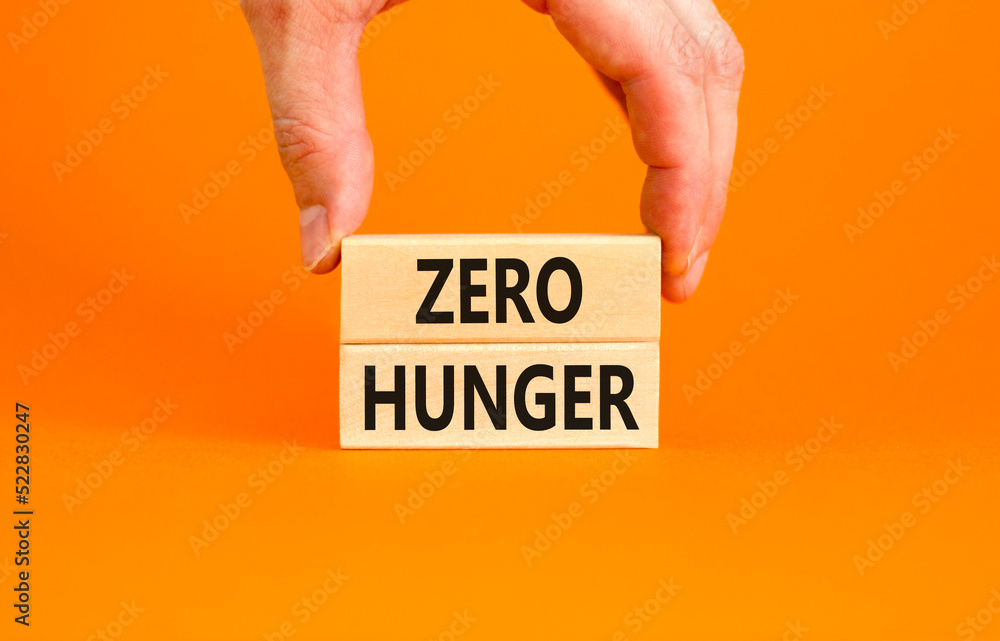 Zero hunger symbol. Concept words Zero hunger on wooden blocks on a ...
