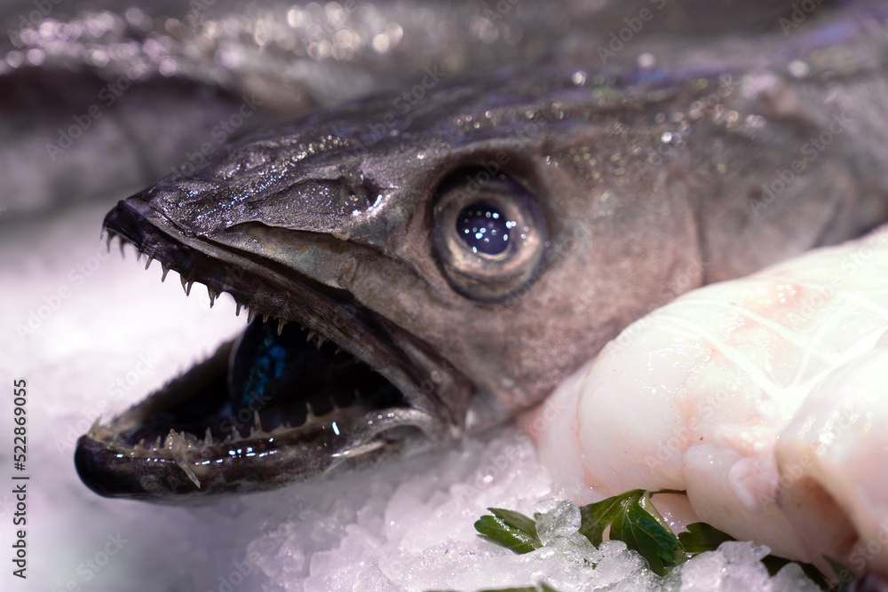 Hake fish with open mouth and sharp teeth. Fish market with hake on ice ...