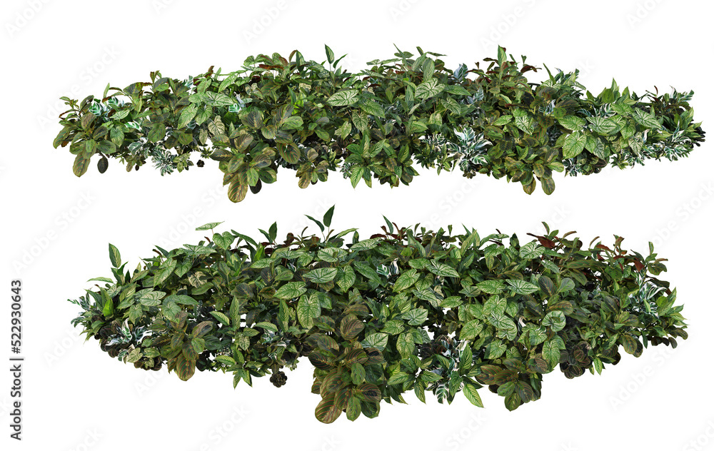Shrubs and plants on a transparent background Stock Illustration ...