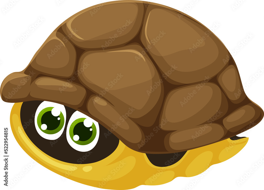 Cartoon turtle tortoise afraid come out of shell Stock Illustration ...