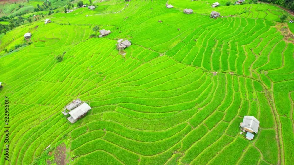 An aerial view over the beautiful rice terraces (Pa pong piang rice ...