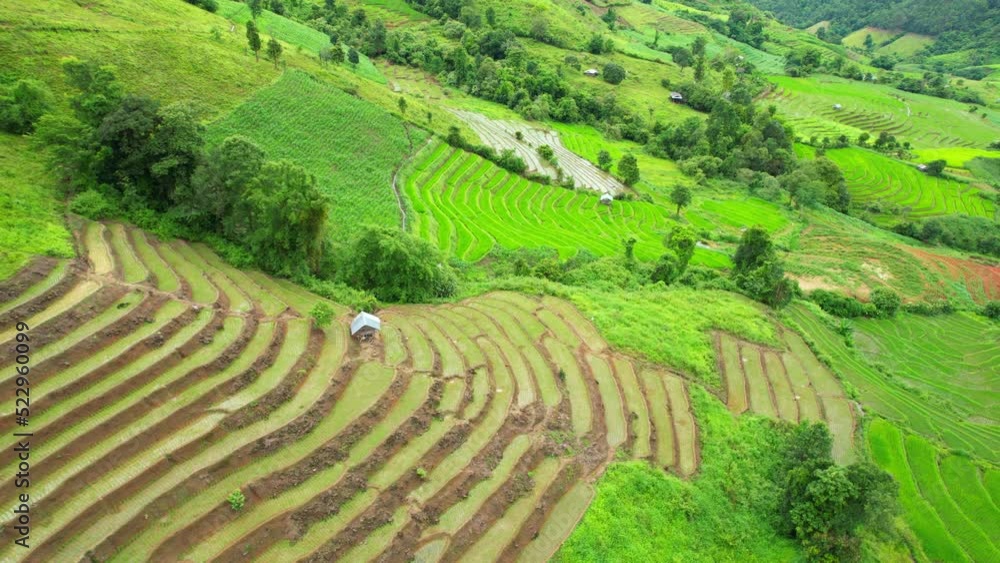 Aerial video of drones flying over rice terraces and beautiful ...