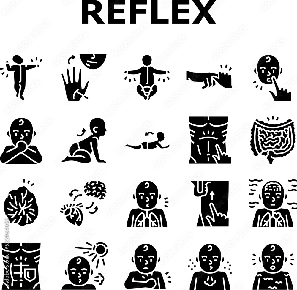 Reflex Of Human Neurology System Icons Set Vector. Cremasteric And ...
