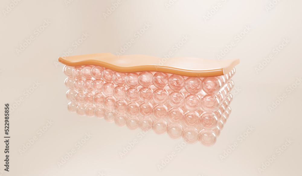 layer and reduce up saggy skin of the skin cell. 3d rendering. Stock ...