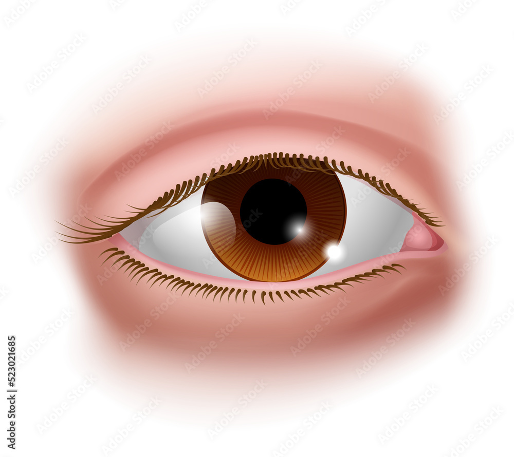 Ear five senses human body part sensory organ icon representing hearing ...