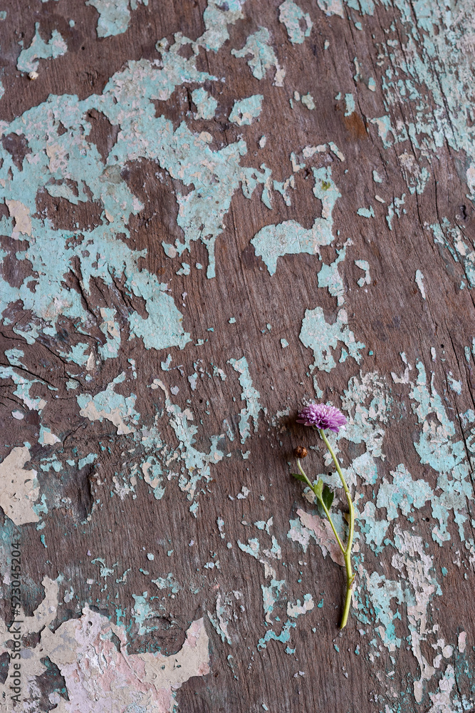fundo rústico de madeira. Fundo fotográfico. Stock Photo | Adobe Stock