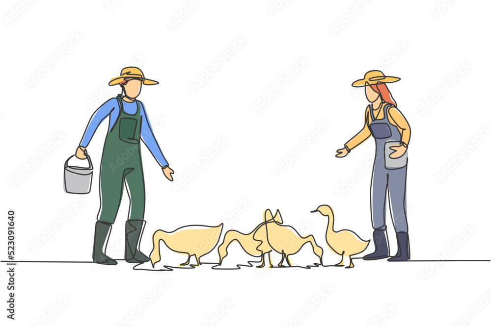 Continuous one line drawing couple farmer is feeding the geese to be ...