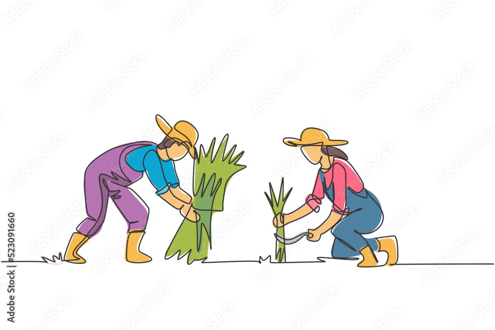 Single one line drawing of couple farmer was harvesting rice and there ...