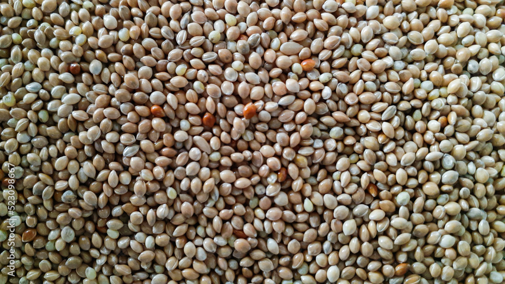 food background - whole-grain barnyard millet seeds close up Stock ...