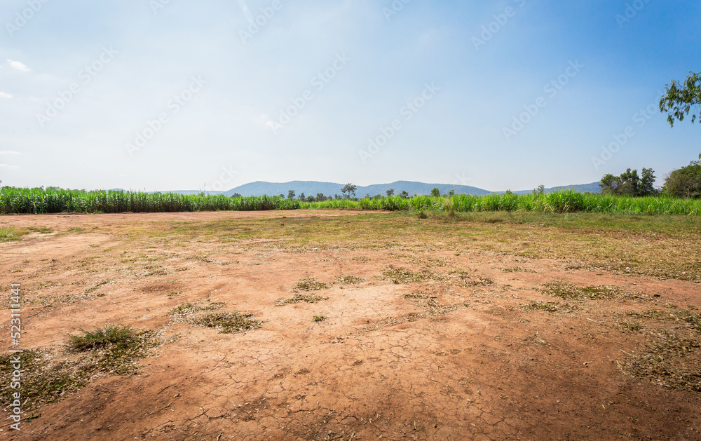 Empty dry cracked swamp reclamation soil, land plot for housing ...