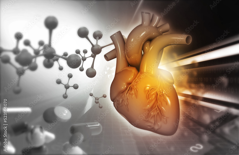 Human heart anatomy with molecules. 3d illustration. Stock Illustration ...